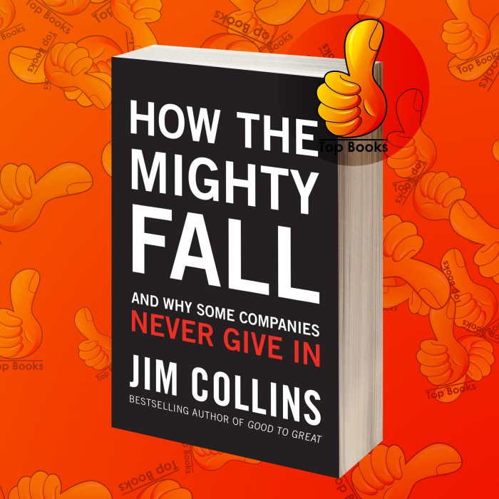 Jual How the Mighty Fall And Why Some Companies Never Give In Jim ...