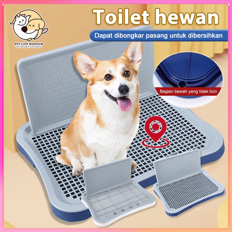 Jual Pet Toilet Anjing Dog Training Potty Pad Pee Poop Training Pad ...