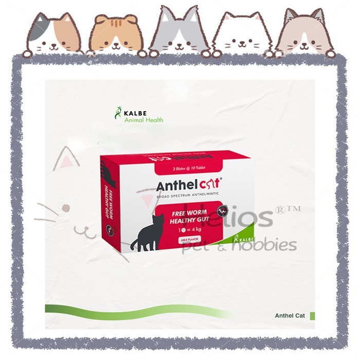 Jual Anthel Cat Obat Cacing Kucing Kalbe Farma Eceran | Shopee Indonesia