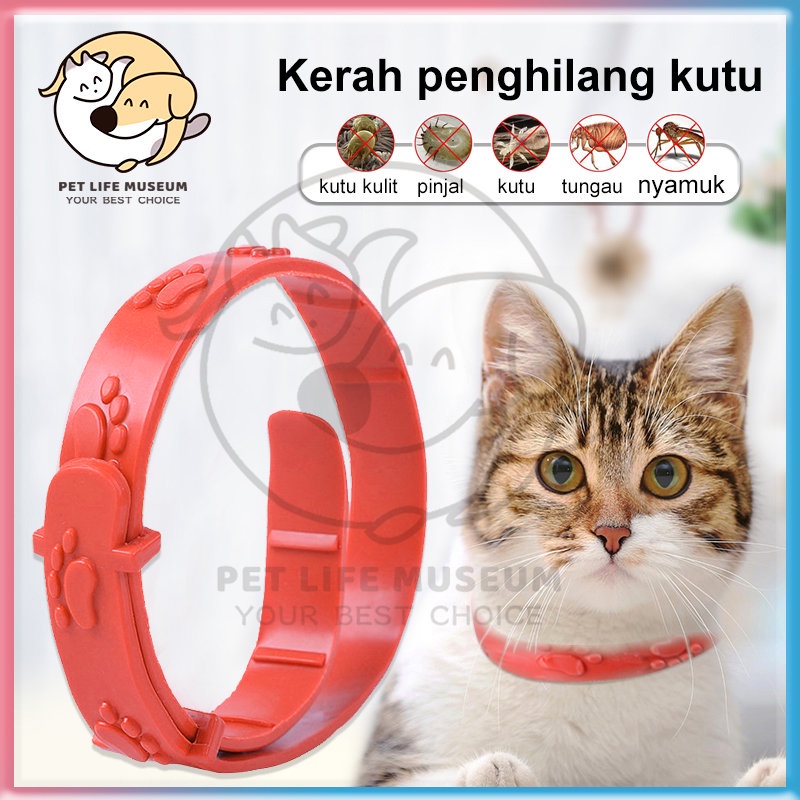 Jual Kalung Kucing Anjing Anti Kutu Kalung Aksesoris Kerah Untuk Hewan ...
