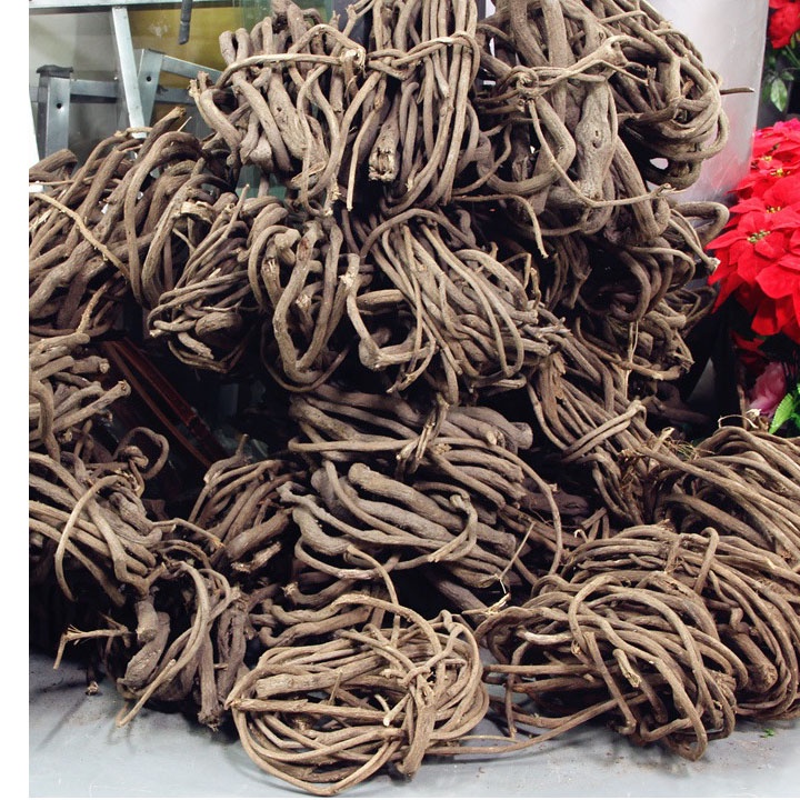 Jual Rattan Tree Branch Rpb Hiasan Dekorasi Akar Batang Pohon Rotan ...