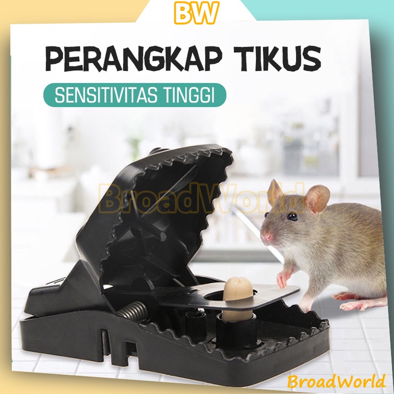 Jual Perangkap Tikus Polos Super Strong Perangkap / Alat Jepit Tikus ...