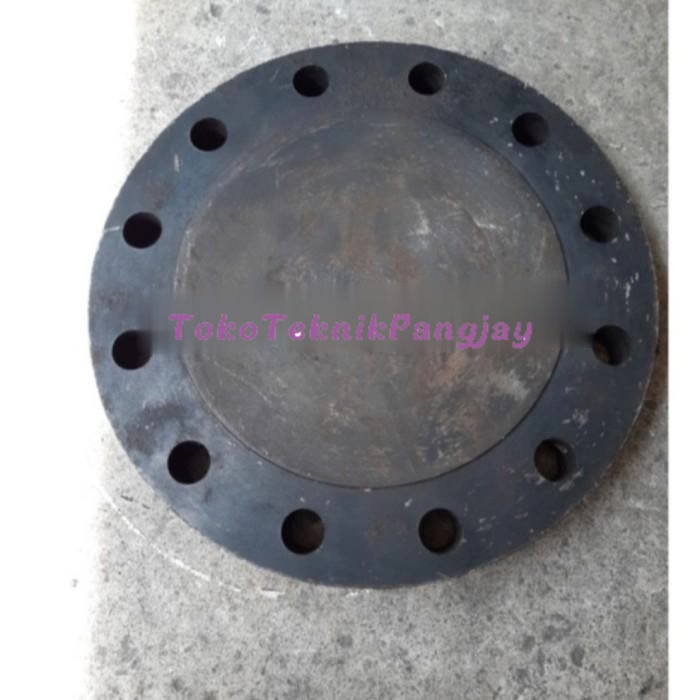 Jual Blind Flange / BUTA A105 Ansi 600 / ASA 600 2 inch | Shopee Indonesia