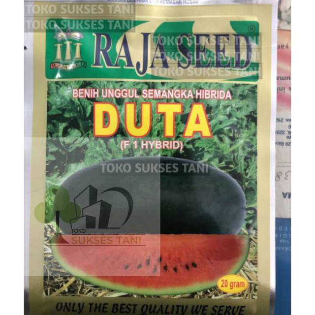 Jual Benih semangka DUTA F1 hibrida dari Raja Seed. kemasan 20gram ...