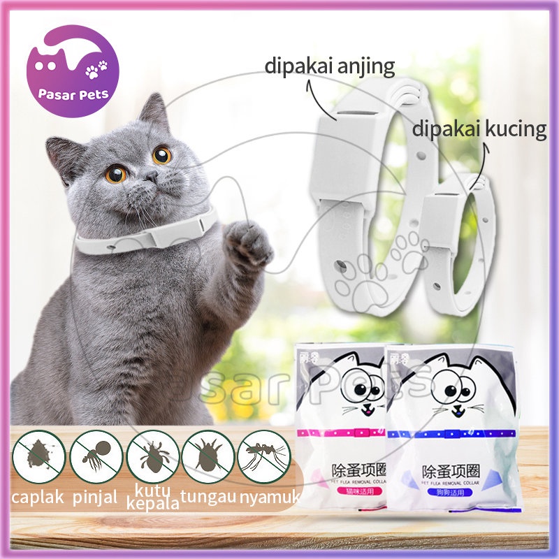 Jual Kalung Kucing Anti Kutu Dan Jamur Kalung Anti Kutu Kucing Dapat ...