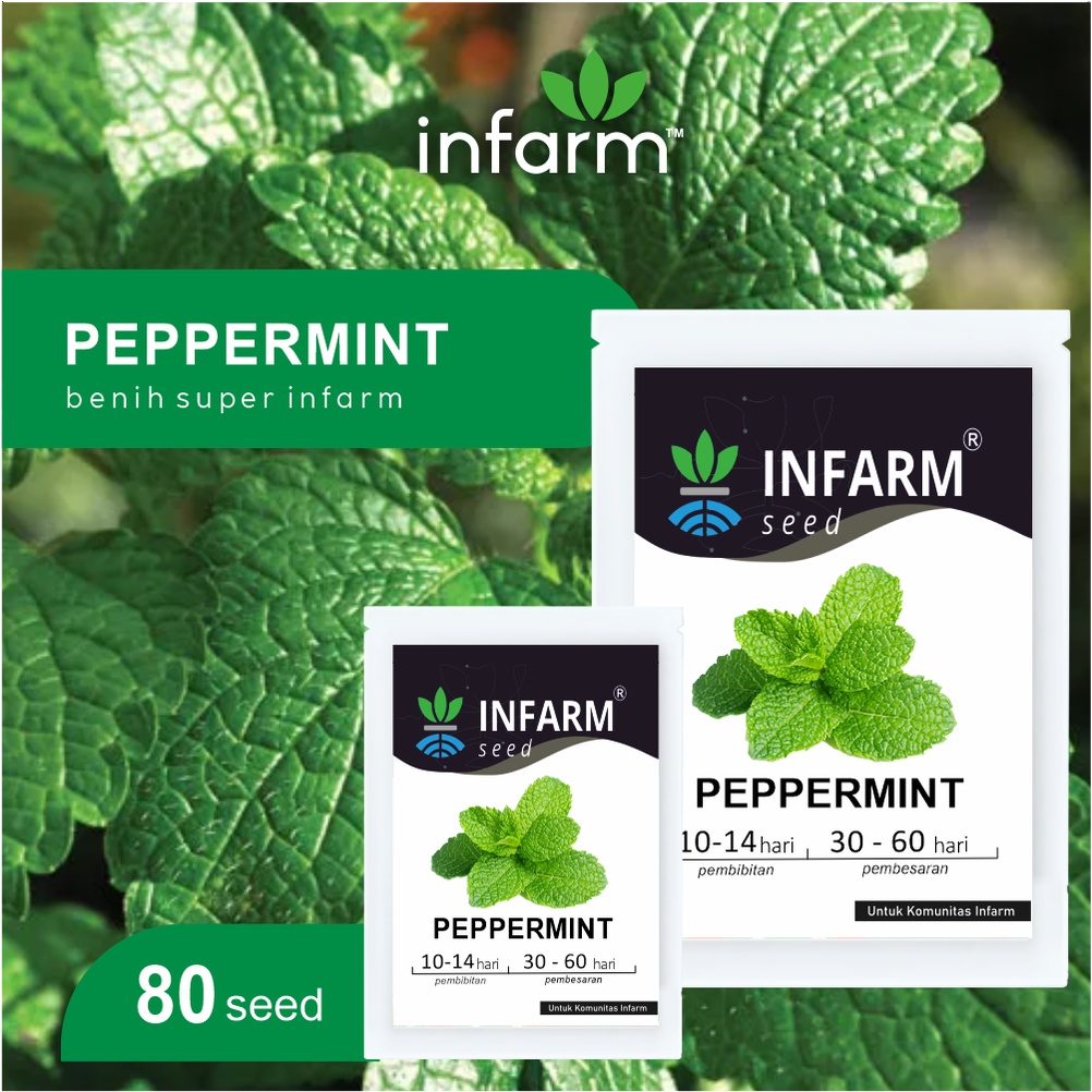 Jual INFARM - Benih Bibit Biji Super Peppermint | Shopee Indonesia Jual INFARM - Benih Bibit Biji Super Peppermint | Shopee Indonesia