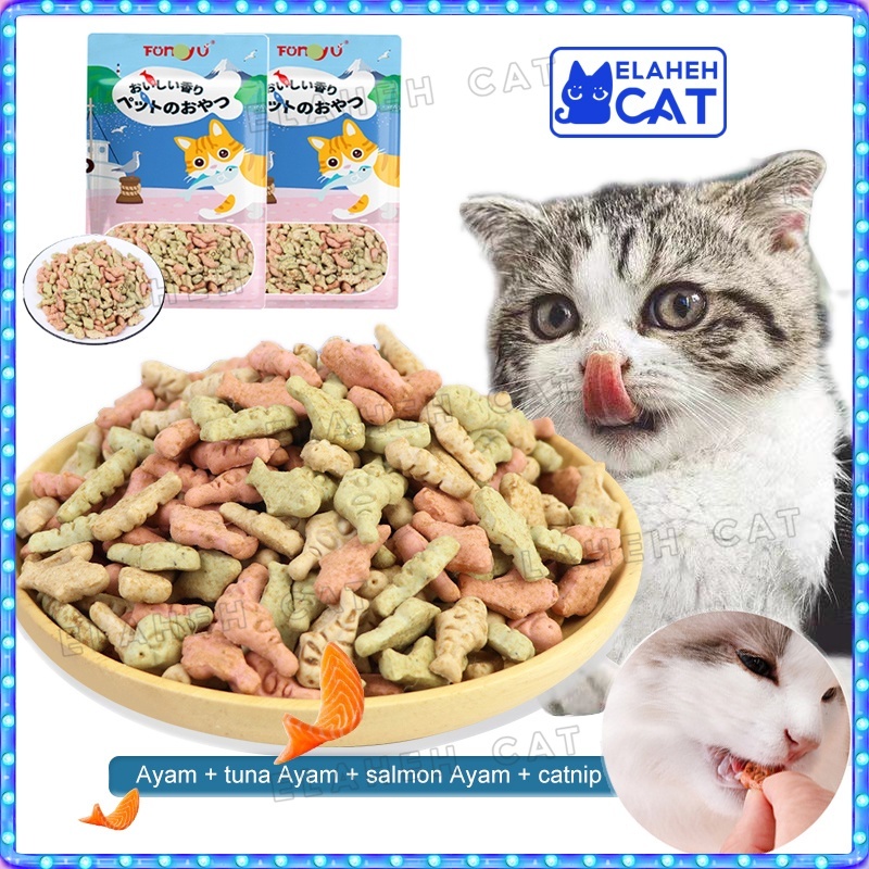 Jual Snack Biskuit Kucing Biskuit Anjing Camilan Kucing Halal 100g ...