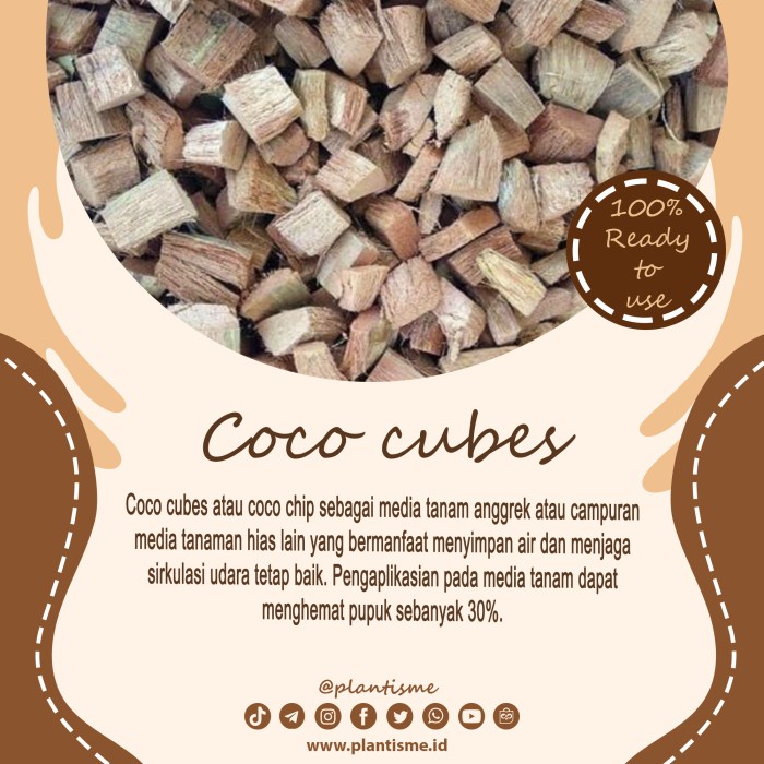 Jual Coco Cubes Chip | Media Tanam Cocochip Metan Mix Anggrek Lembab Porous - 500 gram | Shopee ...
