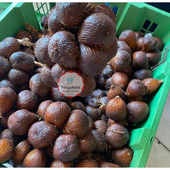Jual Buah Salak Gula Pasir Manis Asli Bali 1 Kg (KHUSUS INSTANT ...