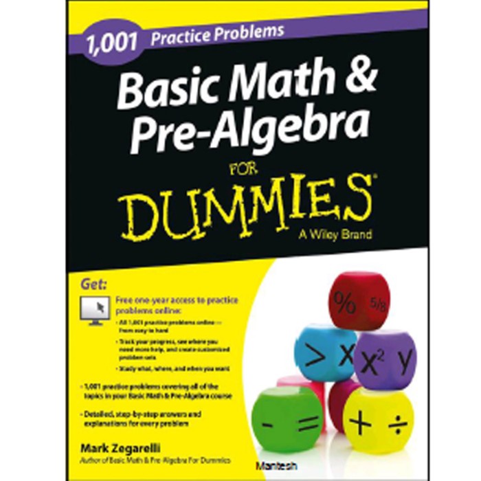 Jual 1001 Basic Math and Pre-Algebra Practice Problems For Dummies ...