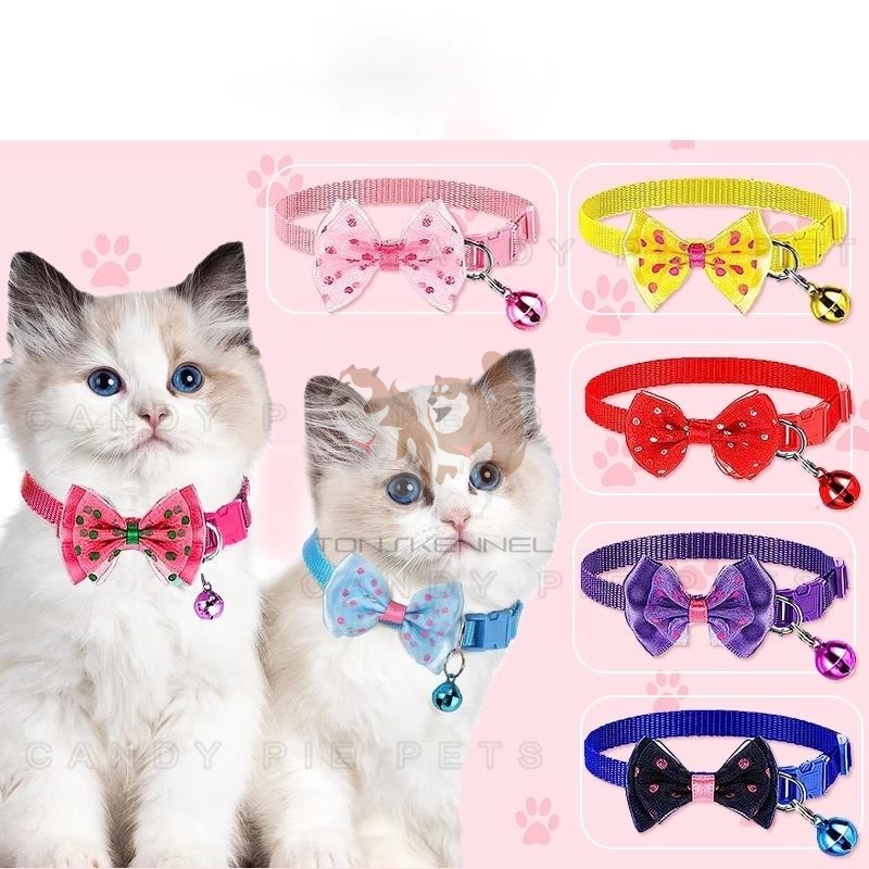 Jual Kalung Kucing Pita Lonceng Lucu Cat Collars Aksesori Hewan ...