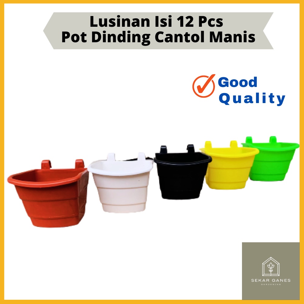 Jual LUSINAN isi 12pcs Pot DINDING CANTOL TEMPEL TIP Putih Hitam - Pot ...
