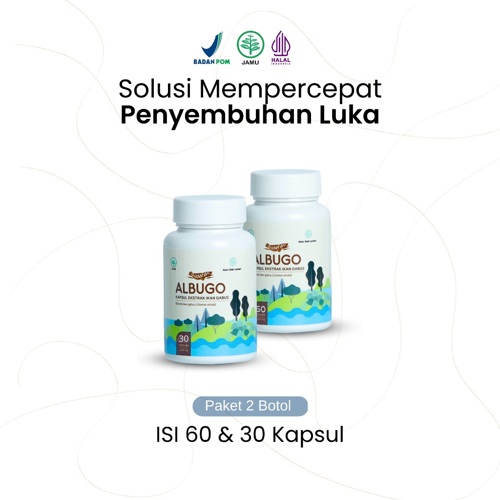 Jual Kapsul Ikan Gabus – Suplemen untuk Penyembuhan Luka dan Pemulihan ...