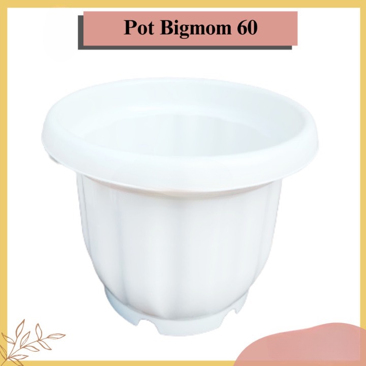 Jual Pot Big Mom Putih Jumbo 60cm Tanaman Buah Bunga Hias Size Besar 60 ...