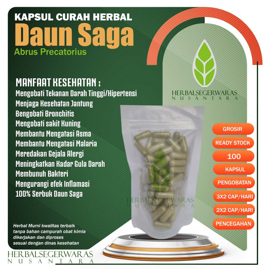 Jual DAUN SAGA 100 Kapsul Herbal Asma Sakit Kuning Alergi Hipertensi ...