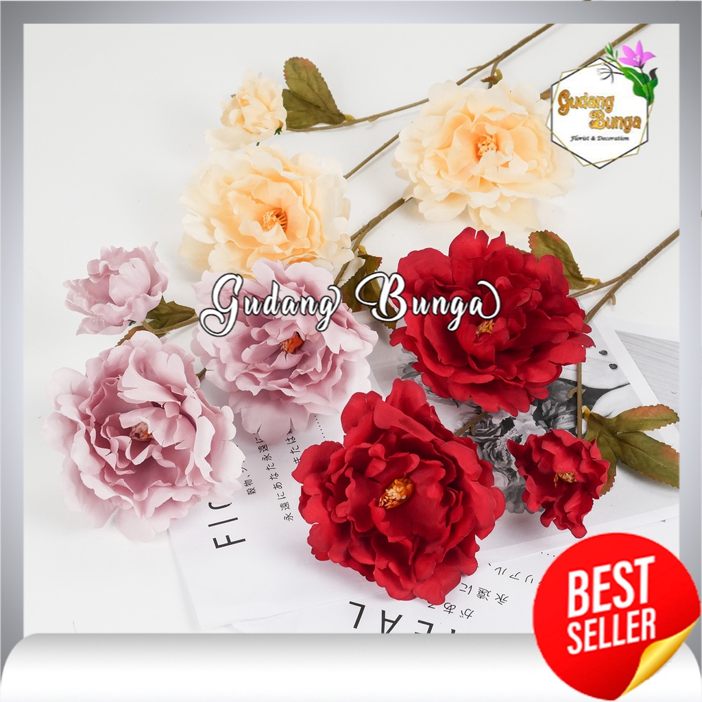 Jual Bunga Mutan Tangkai Panjang Cabang 3 Peony Jumbo Flowers Bunga ...