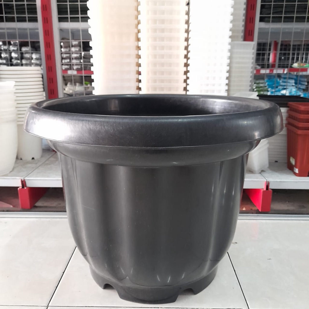 Jual Pot BigMom Hitam 60cm 60 cm Tanaman Bunga Buah Hias Ukuran Besar ...