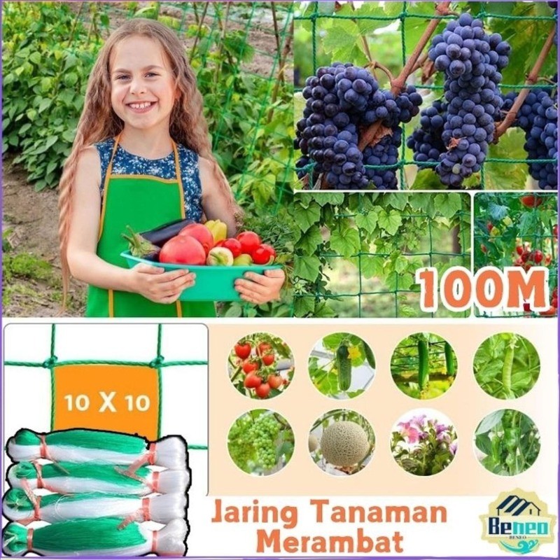 Jual 3.5M*100M / Jaring Untuk Tanaman/Jaring Tanaman Rambat Jaring Rambatan Tanaman Jaring ...