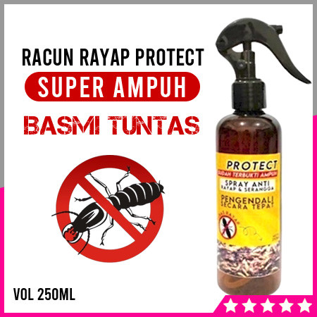 Jual Spray Anti Rayap Protect Cairan Racun Rayap Tanah Rumah Kayu ...