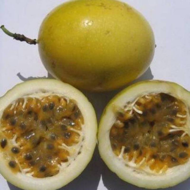 Jual Buah Markisa Segar Markisa Kuning 1Kg Murah | Shopee Indonesia