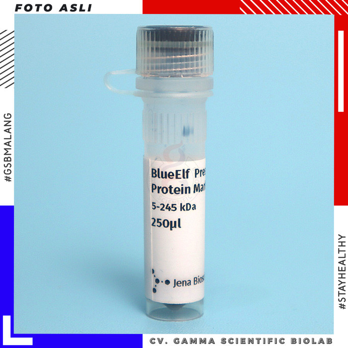 Jual BlueElf Prestained Protein Marker; 2 x 250 μl (PS-105) | Shopee ...