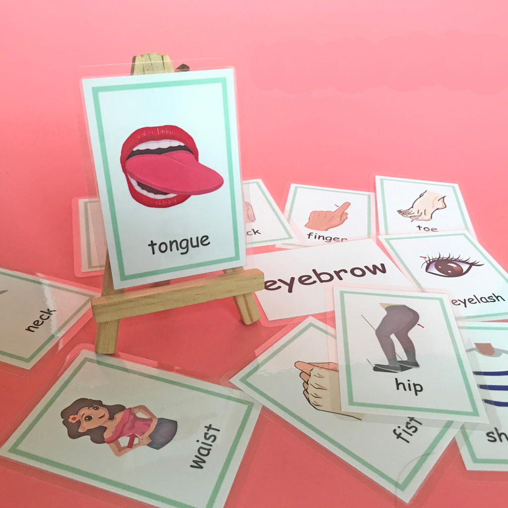 Jual Montessori Kids English Words Learning Flashcards Early ...