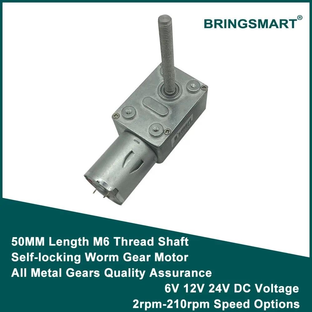 Jual Bringsmart 6V 12V 24V Worm Motor M6 Screw Shaft Length 50MM DC ...