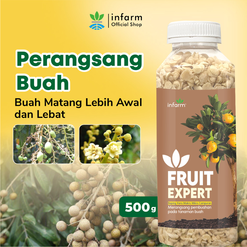 Jual INFARM - Pupuk Fruit Expert 500 gram, Nutrisi Perangsang Buah ...