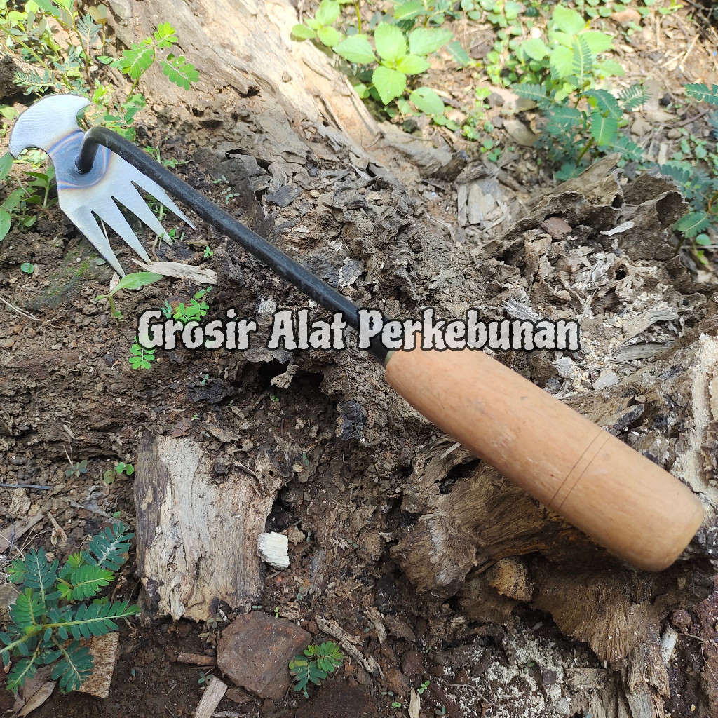 Jual Alat Pencabut Rumput Gagang Kayu Jati Asli - Pencabut Rumput Bahan ...