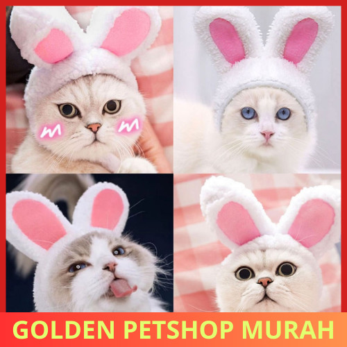 Jual GOLDEN PM Topi BUNNY KELINCI SINGA BERUANG Topi Telinga Kucing Kelinci untuk Anjing ...