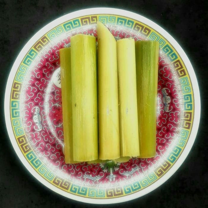 Jual Batang pohon honje 1kg segar - pohon kecombrang | Shopee Indonesia