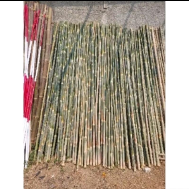 Jual promo bambu tiang bendera ukuran 180 cm | Shopee Indonesia