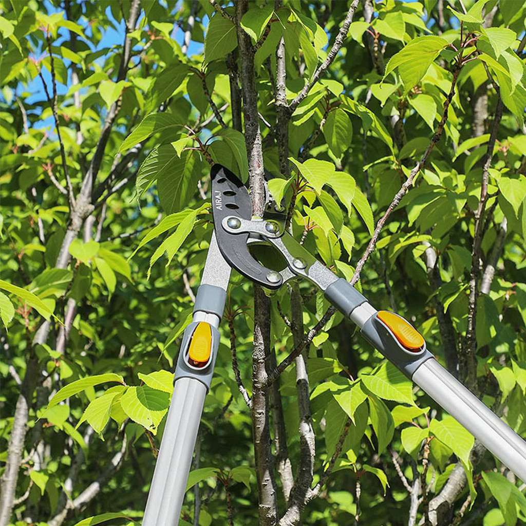 Jual Gunting Taman Gunting Cabang Tebal Steel Lopping Shears Gunting ...