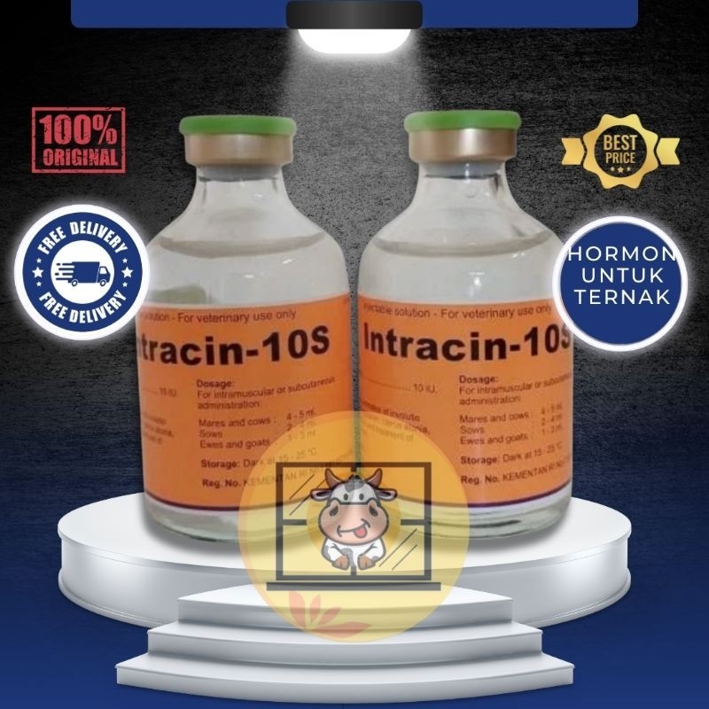 Jual INTRACIN 10S 50 ML - Hormon Perangsang Kontraksi Uterus dan Kelenjar Mamae | Shopee Indonesia