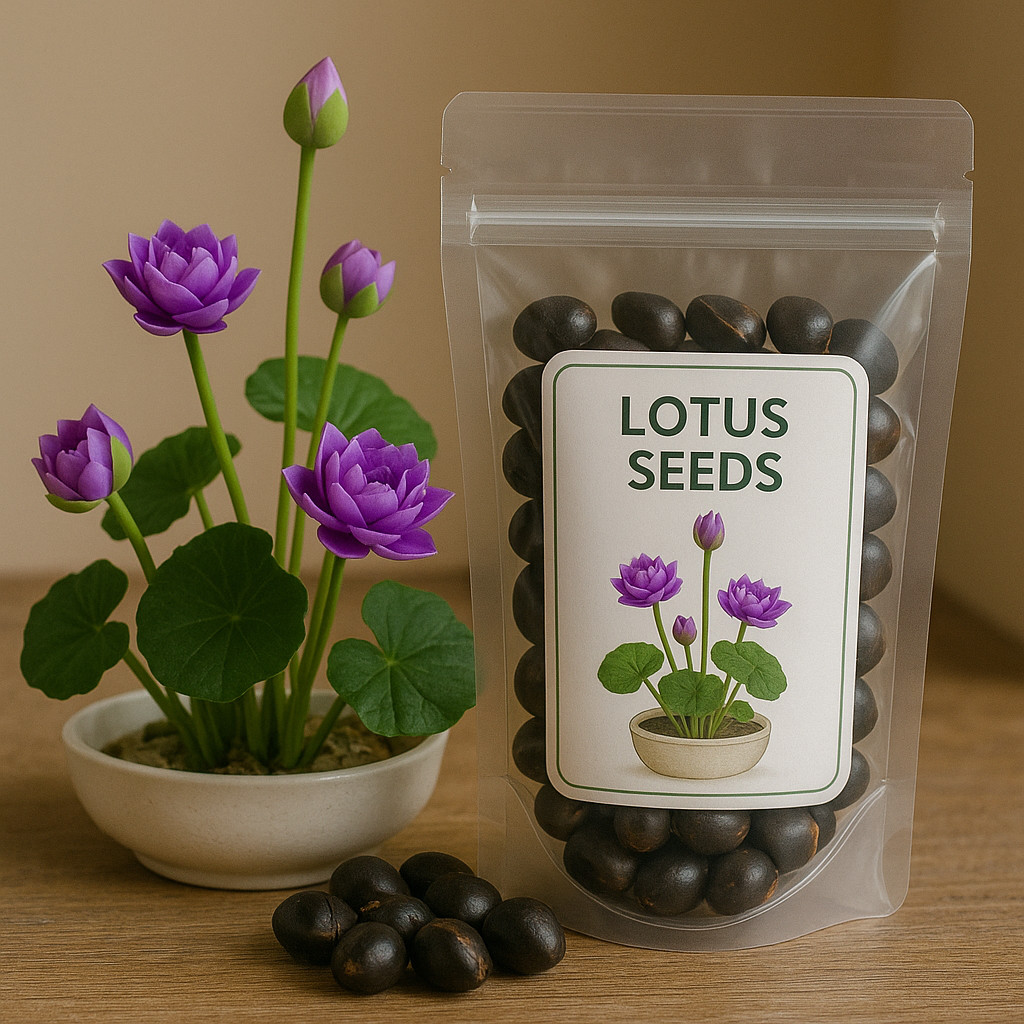 Jual Biji Benih Lotus Mini Bunga Teratai Varian Warna Berkecambah 3 ...