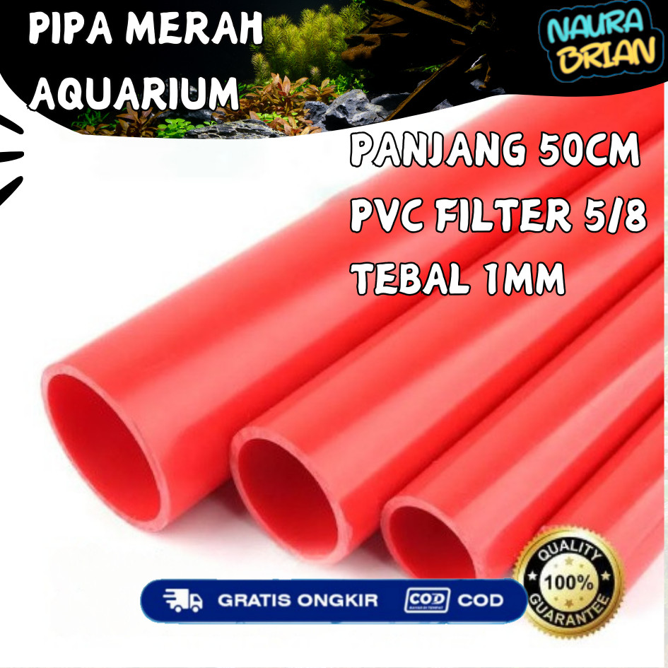 Jual Pipa Merah Aquarium 50cm untuk air terjun aquarium waterfall ...