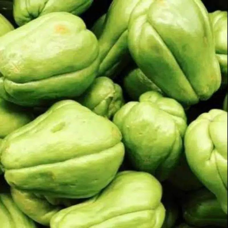 Jual Buah Labu Siam Muda buat sayuran Segar Langsung Petik 500 gram ...