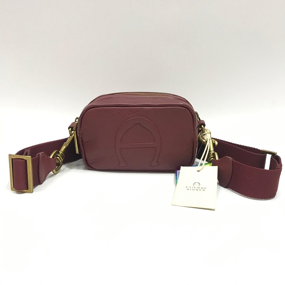 Jual E. Aigner Mini Adeline Camera Bag in Cordovan Maroon | Shopee ...
