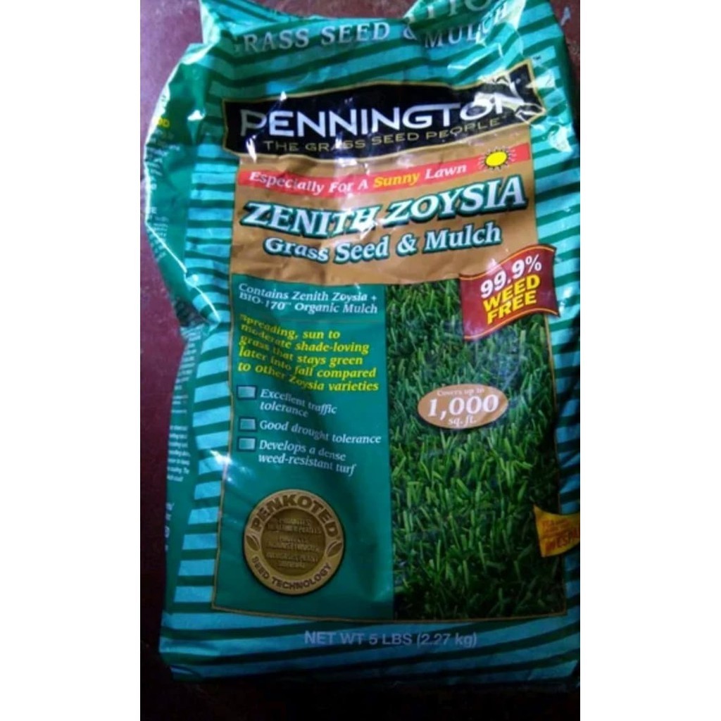 Jual Biji Rumput Zenith Zoysia grass 1kg benih rumput Zenith mulch ...
