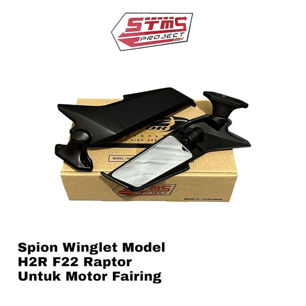Jual Spion Winglet F22 Raptor Model H2R Slime 02 Universal Ninja 250Fi ...