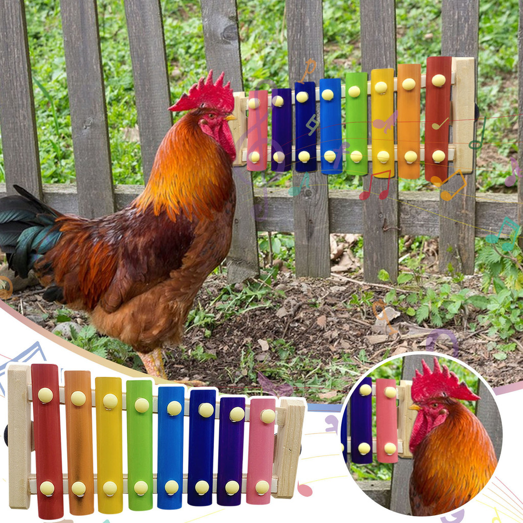 Jual Bird Chicken Xylophone Toy Wooden Suspensible Bird Cage ...