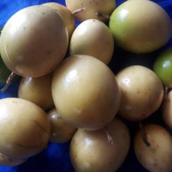Jual buah markisa per 1kg fresh | Shopee Indonesia