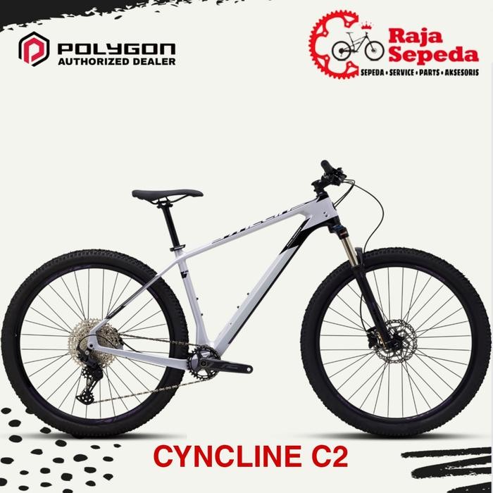 Jual SEPEDA MTB POLYGON SYNCLINE C2 NEW 2022 - 29 (XL) | Shopee Indonesia