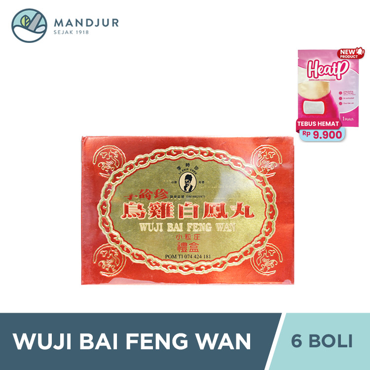 Jual Wuji Bai Feng Wan Isi 6 Bola Lilin - Suplemen Kesehatan Wanita ...