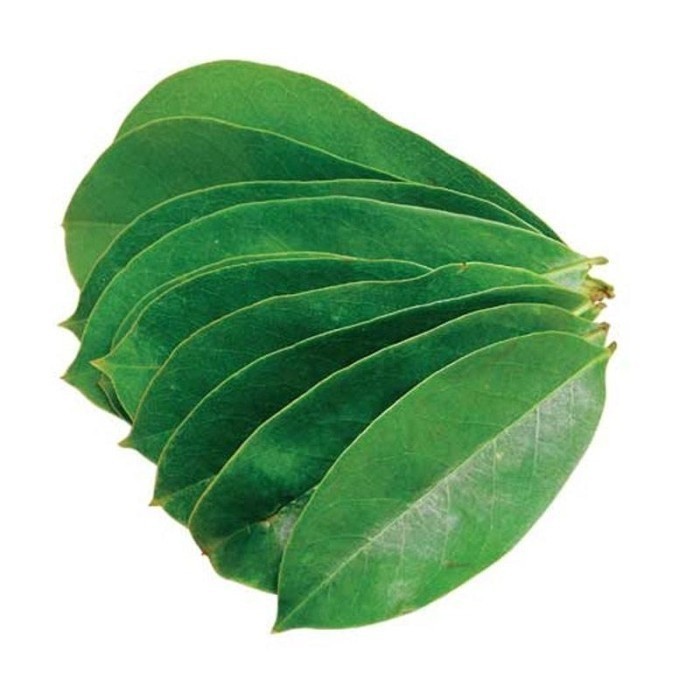 Jual Daun Sirsak 50 Lembar Anti Kanker Anti Tumor Masih Segar Fresh ...