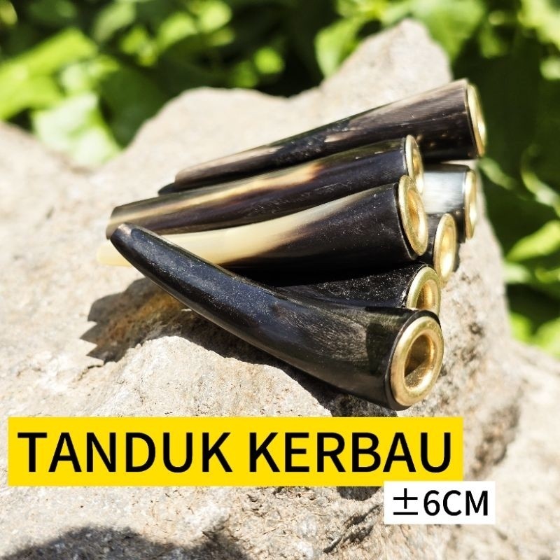 Jual Tanduk Kerbau mini 6CM asli original bahan tanduk | Shopee Indonesia