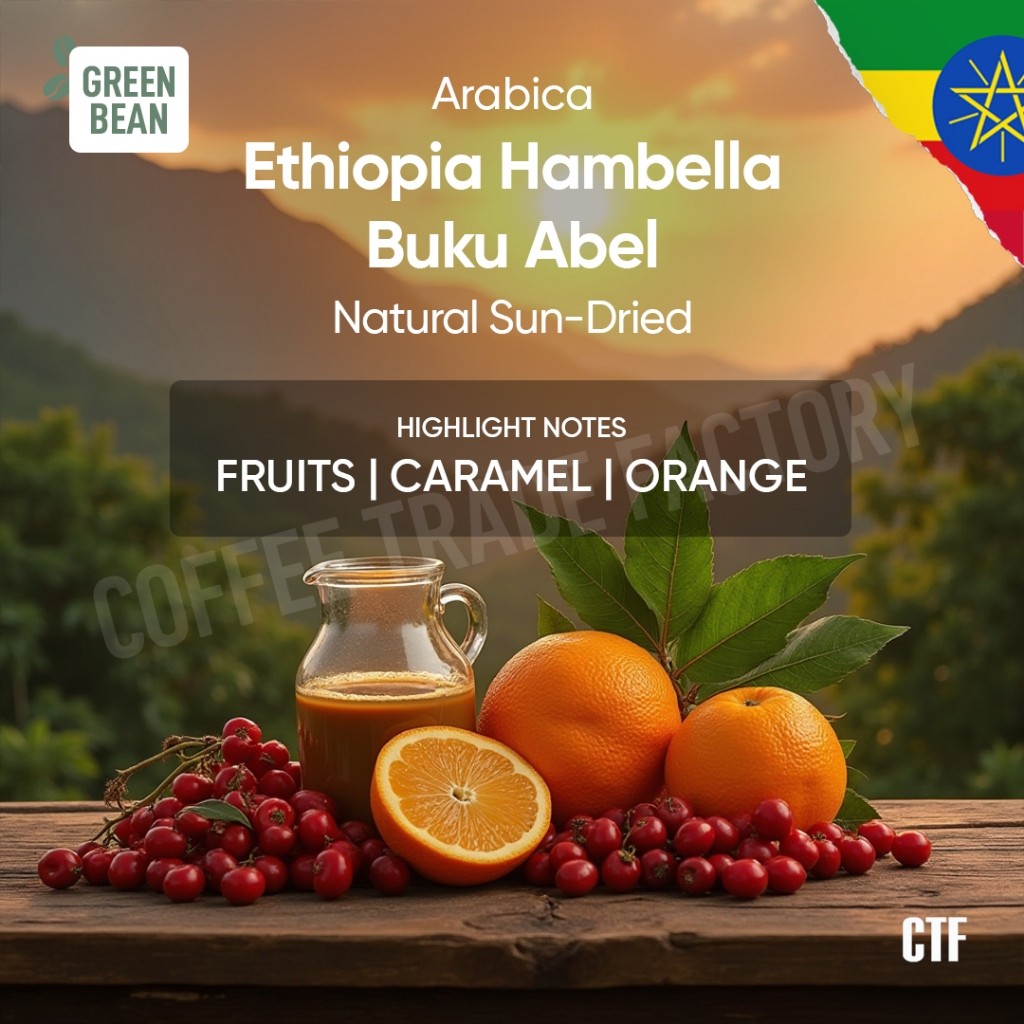 Jual Green Beans Arabika Ethiophia Hambella Bukuabel Natural Sun-Dried ...