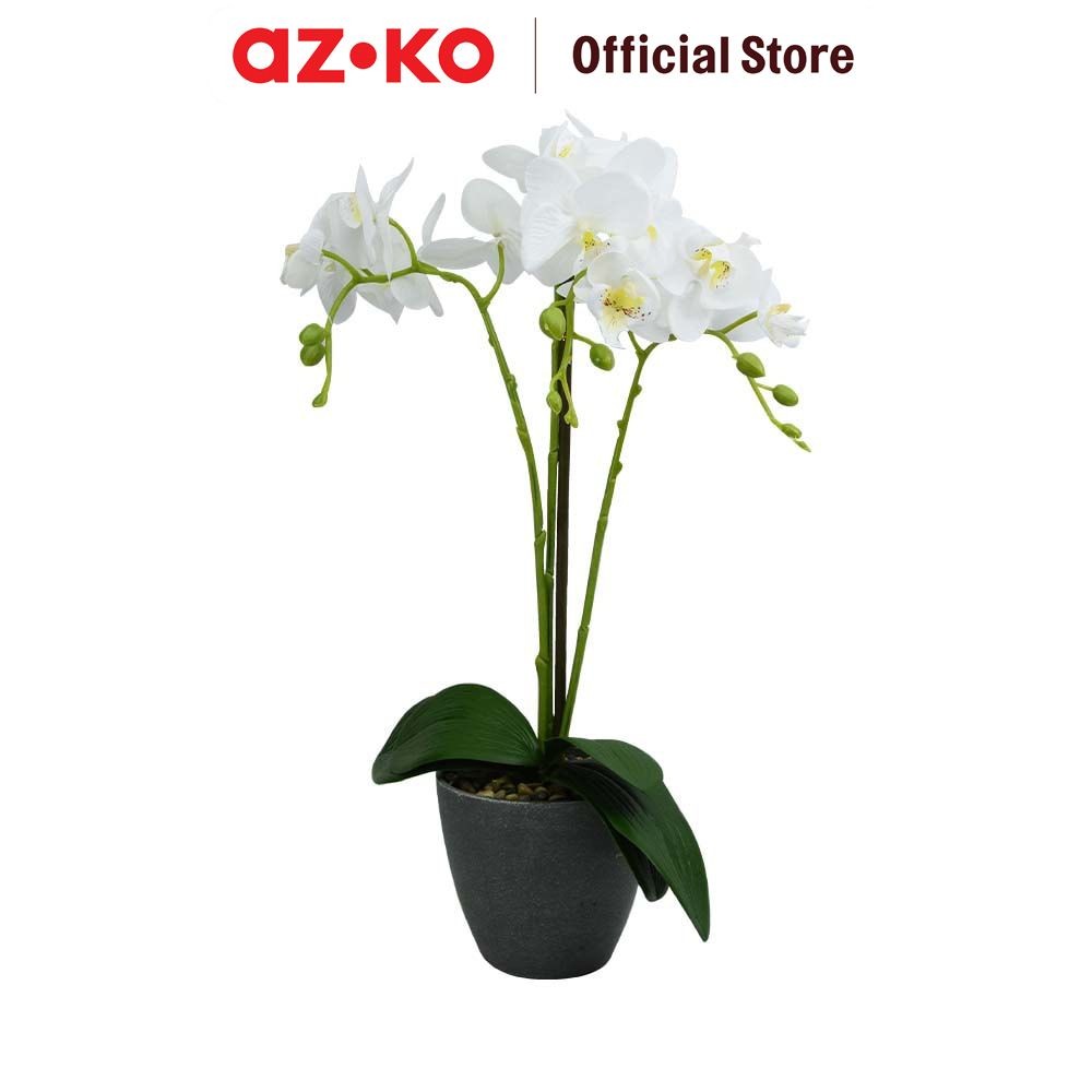 Jual AZKO Arthome 54 cm Bunga Artifisial Anggrek Phalaenopsis - Putih ...