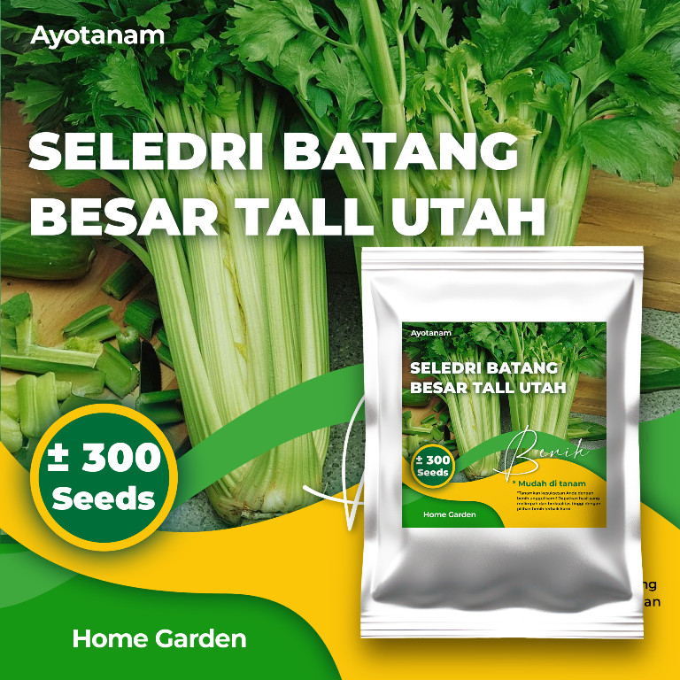 Jual AYOTANAM Benih Seledri Batang Besar Tall Utah isi ± 300 Benih ...