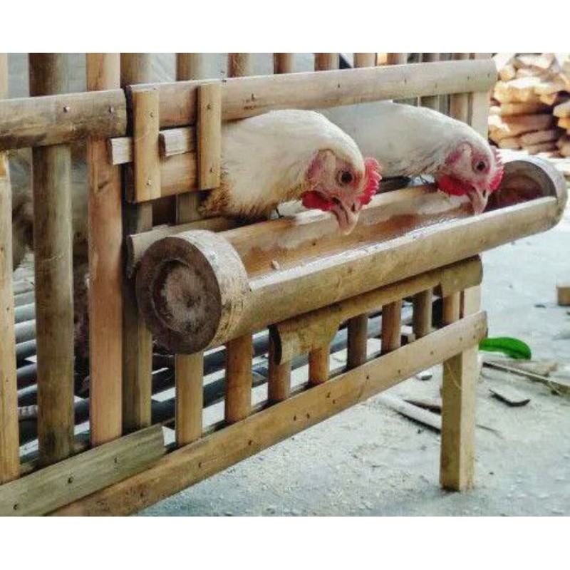 Jual Tempat Pakan Ayam Dari Bambu | Shopee Indonesia